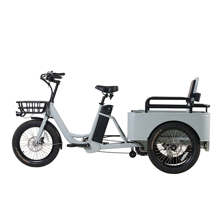 Buy Electric Bikes & Trikes | Sustainable & Fun E-Bike – Oh Wow Bikes
